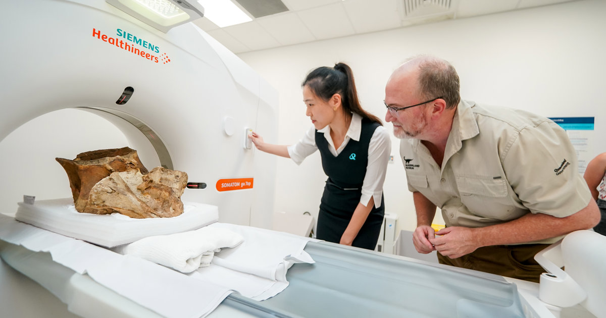 Queensland X-Ray and Queensland Museum continue Research Partnership ...